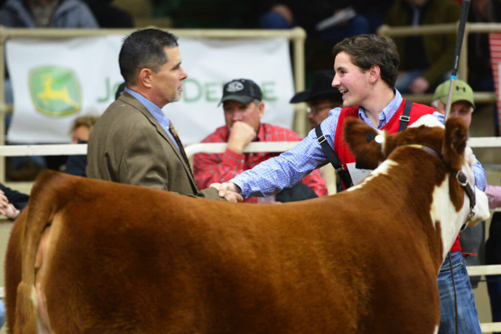 Home - Grimmel Girls Show Cattle - Hereford Cattle in Jarrettsville, MD